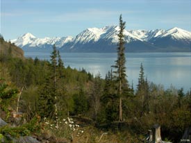 Anchorage Alamo Rental Cars